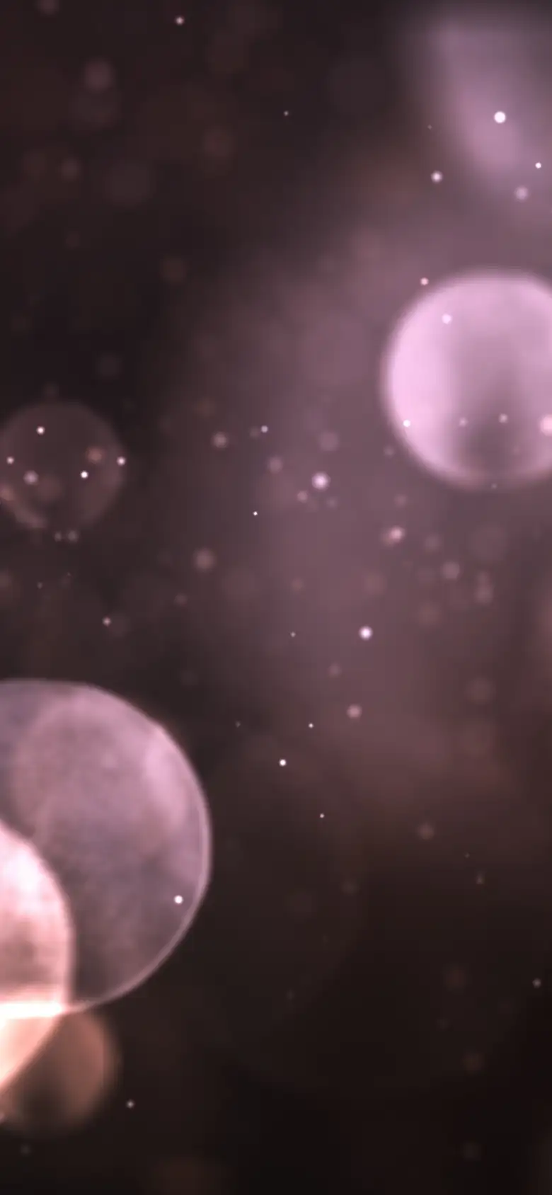 Connect | Rotman School | University of Toronto