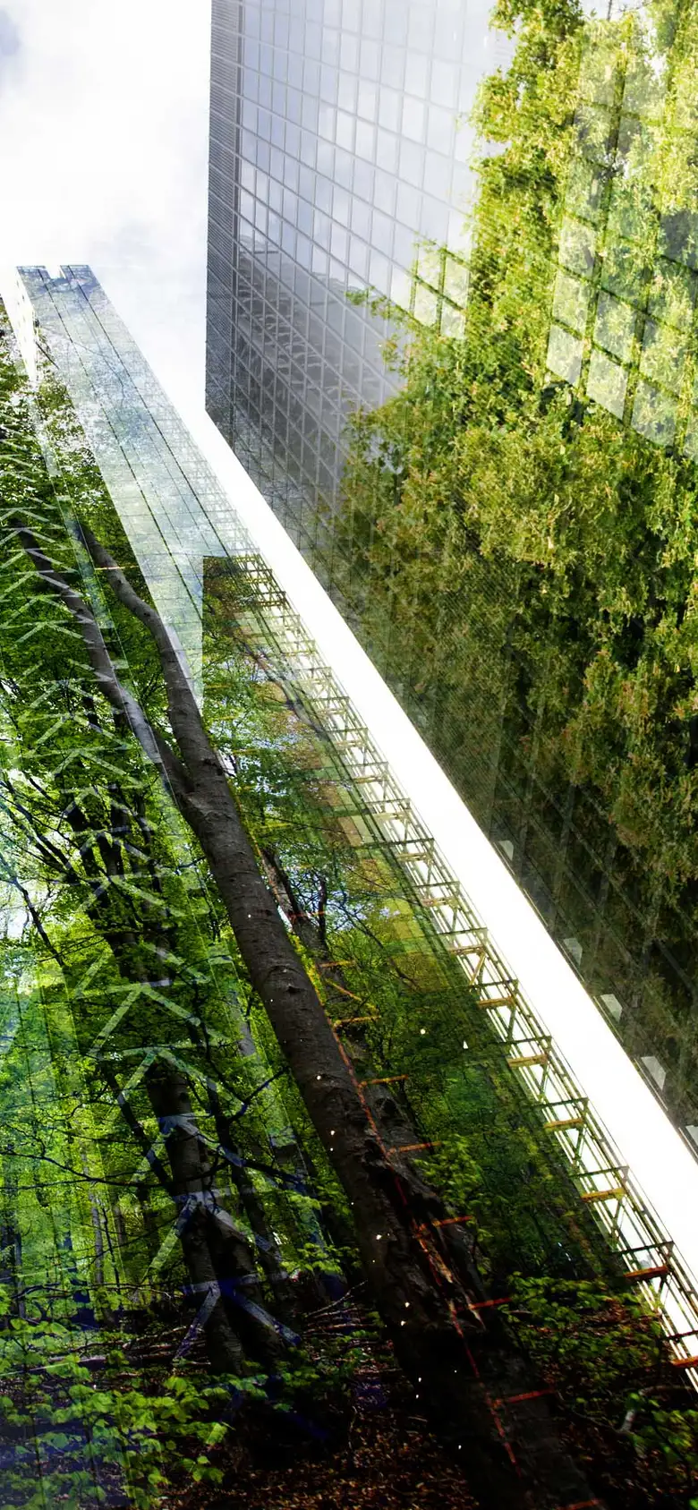 Rotman Sustainability Initiative | Rotman School | University of Toronto